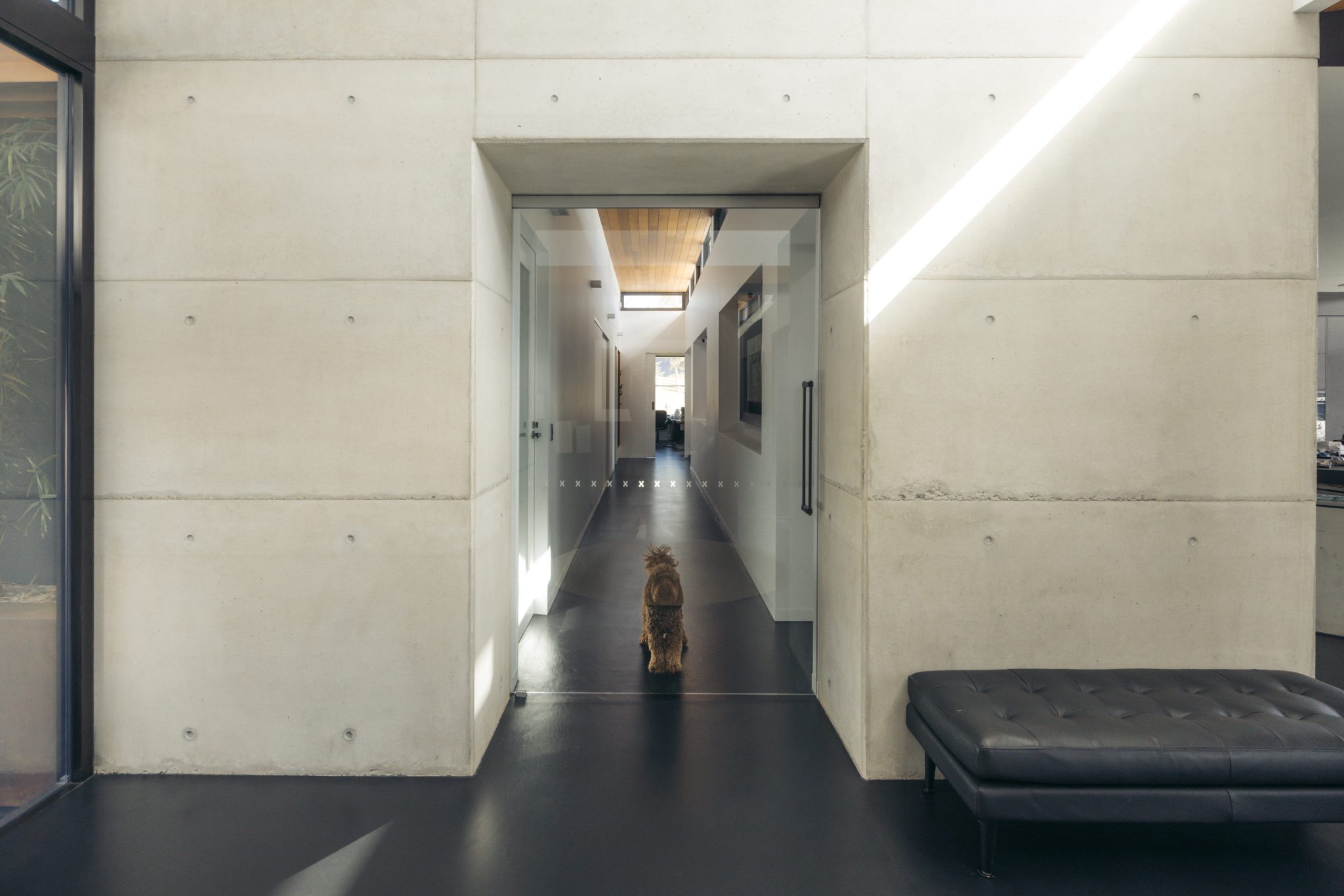How Much Do Custom Internal Doors Cost? • Triline